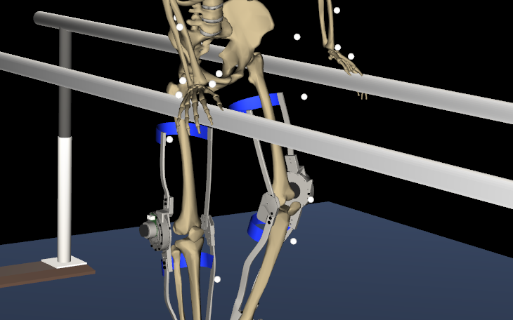 Design gait-assistive active orthosis based on musculoskeletal models